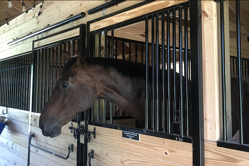 Windy Hill Sheds Article: "We'd Love to Customize Your Horse Barn for You!"